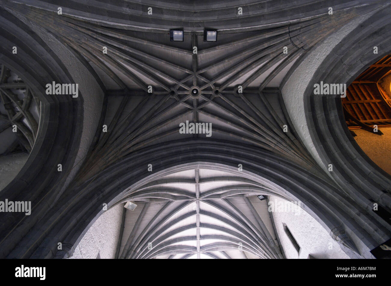 Groined hi-res stock photography and images - Alamy