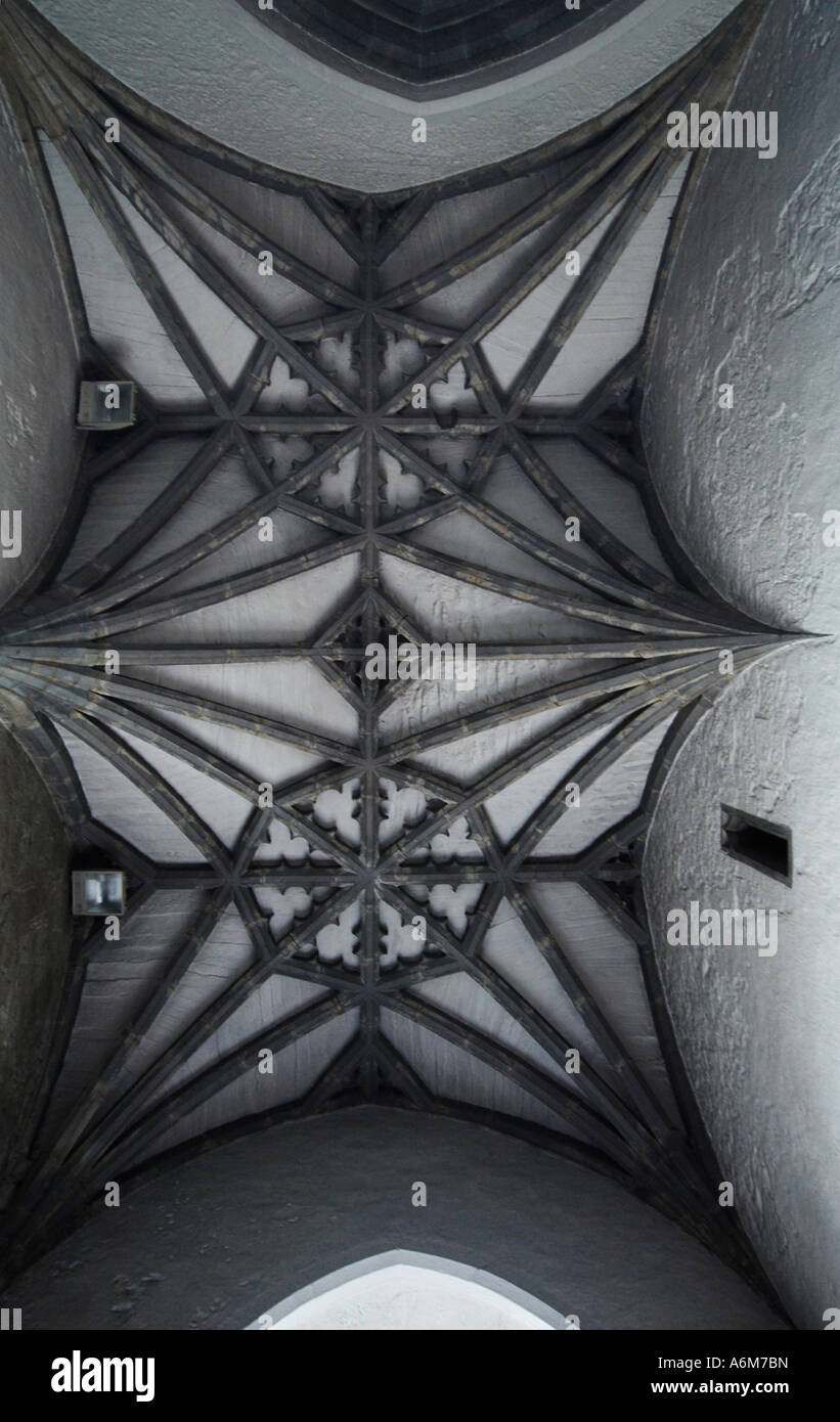 Groined ceiling hi-res stock photography and images - Alamy