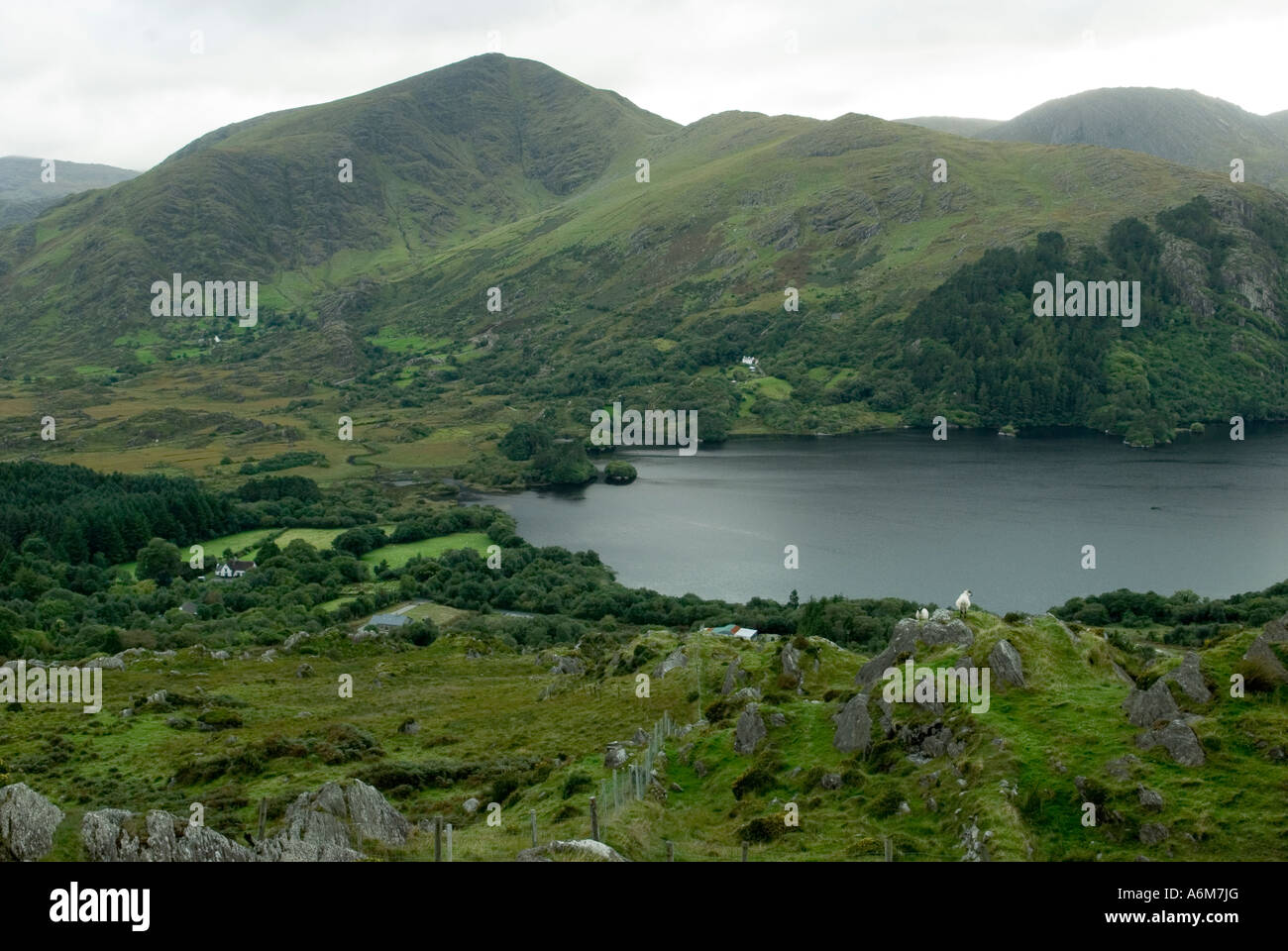 Killarney kilarney national park hi-res stock photography and images ...