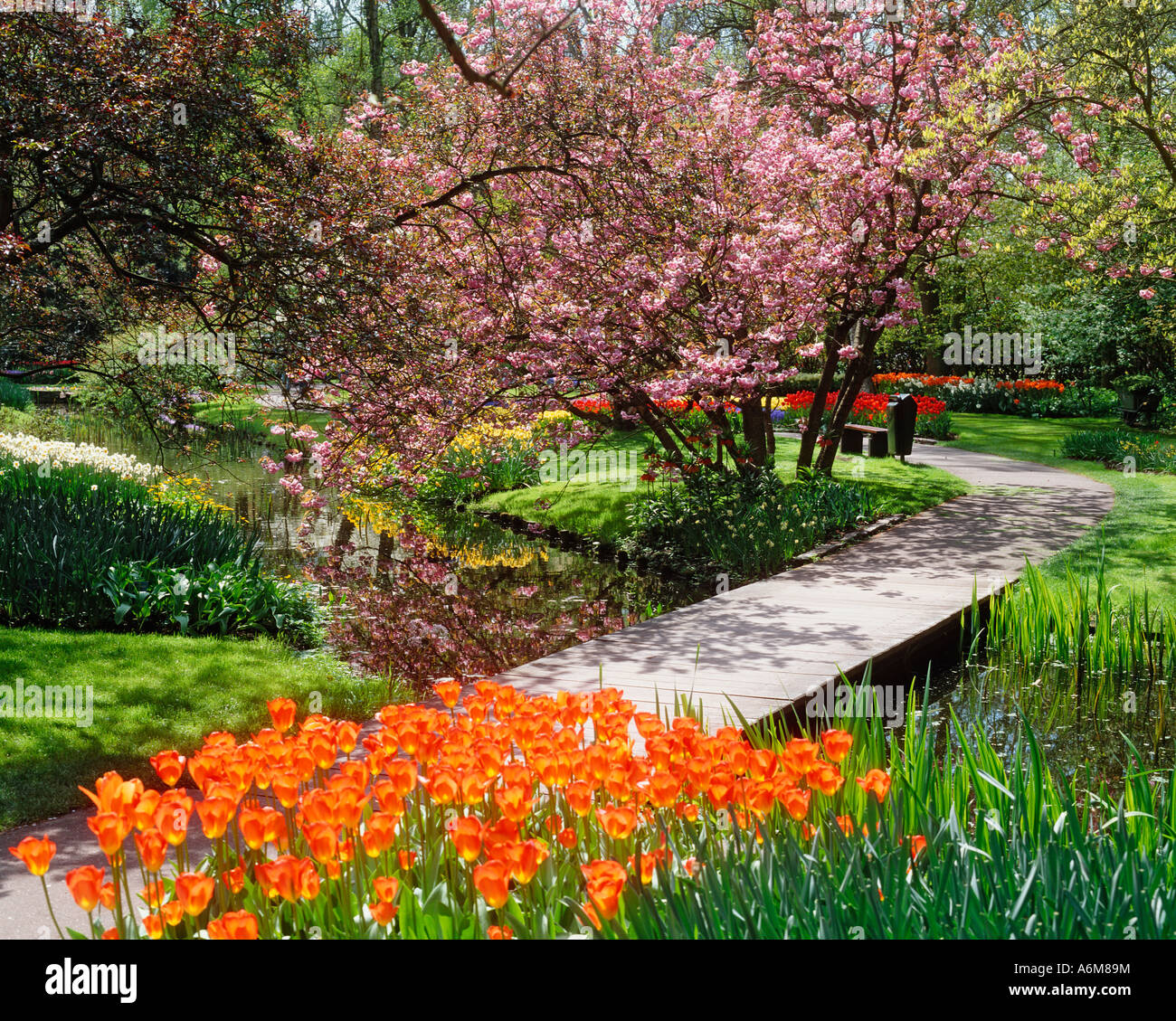 NETHERLANDS LISSE KEUKENHOF GARDENS Stock Photo - Alamy