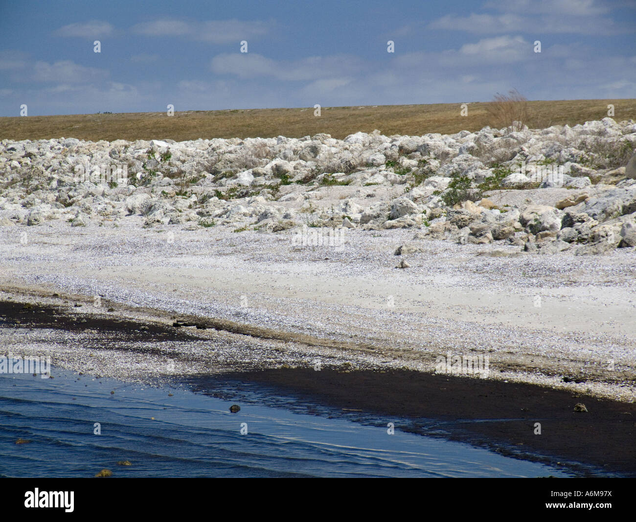 Lake Okeechobee low water levels drought exposed bank Port Mayaca 03 07 ...