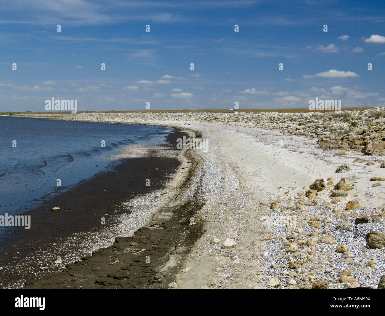 Lake Okeechobee low water levels drought exposed bank Port Mayaca 03 07 ...