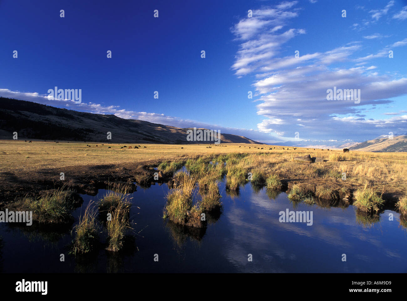 UNITED STATES MONTANA Stock Photo - Alamy