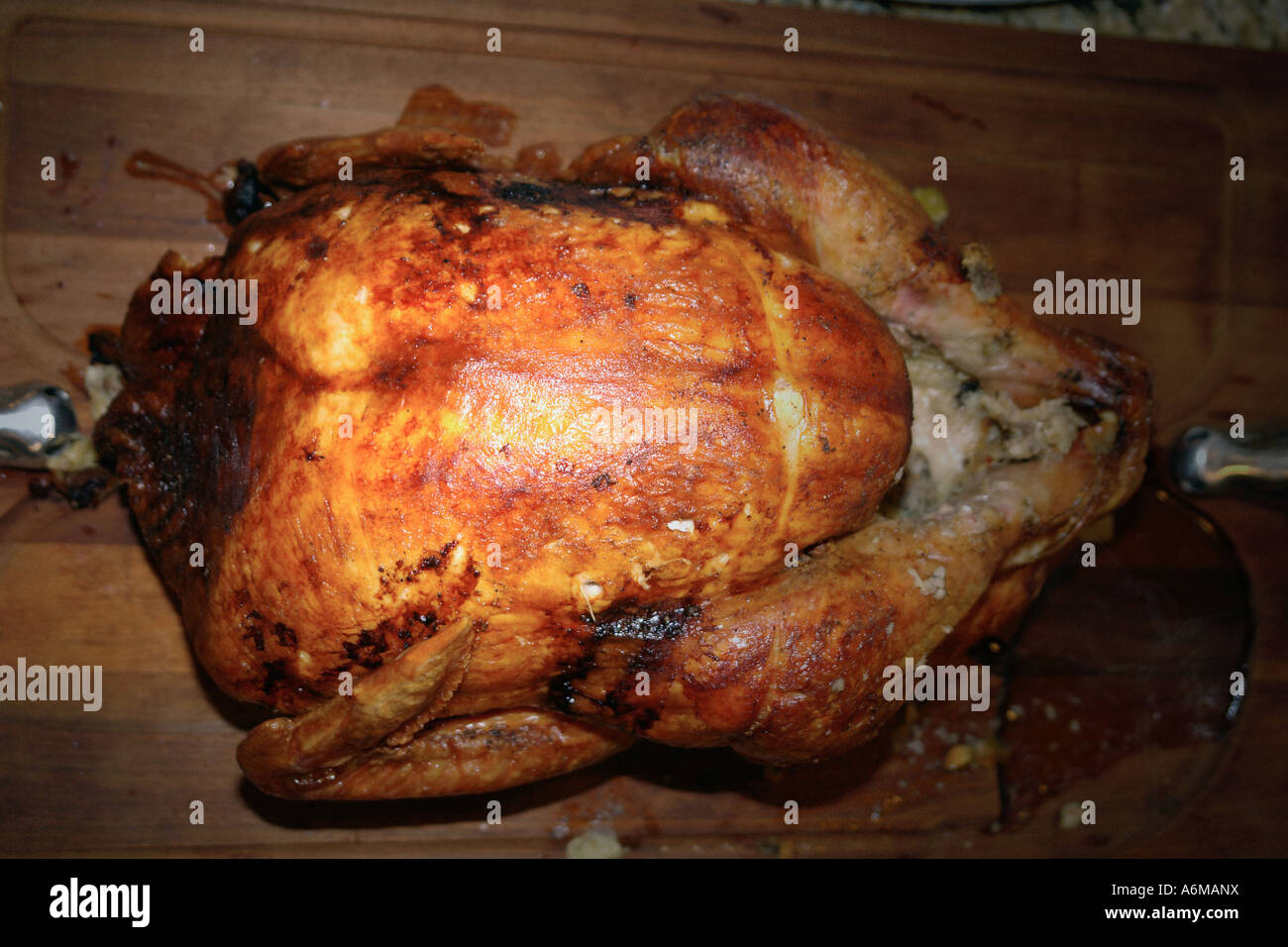 Chanukah turkey hi-res stock photography and images - Alamy