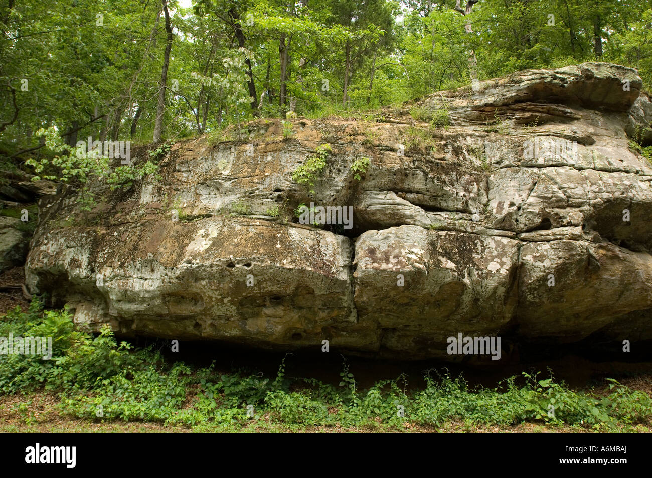 Sandstone bluffs in giant city hi-res stock photography and images - Alamy