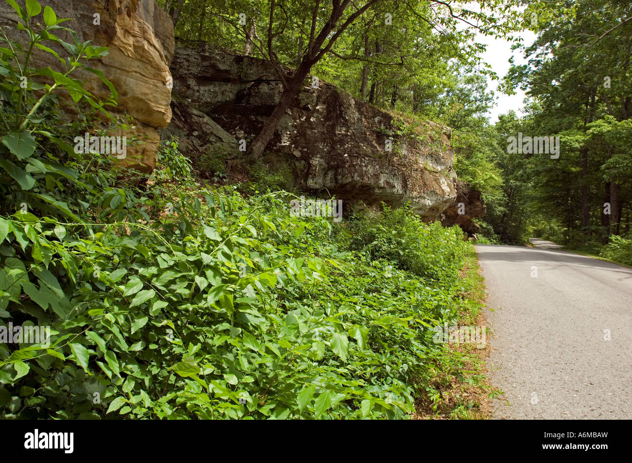 Sandstone bluffs in giant city hi-res stock photography and images - Alamy