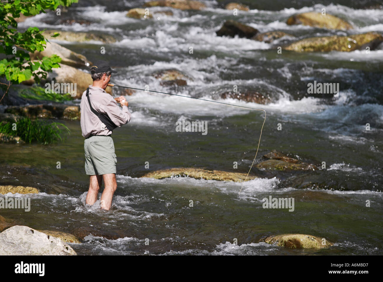 Man fly fishing in a Smoky Mountain trout stream holding rod in his ...