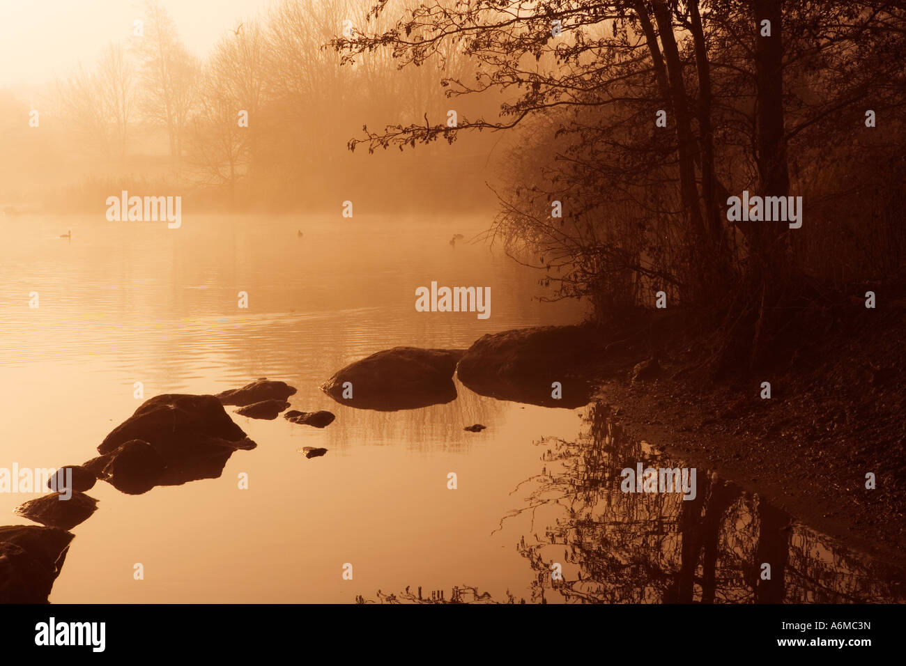 Early Morning Mist over Liden Lagoon Stock Photo - Alamy