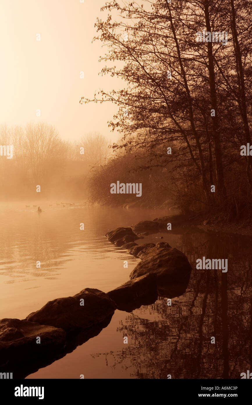 Misty Morning on Liden Lagoon Stock Photo - Alamy