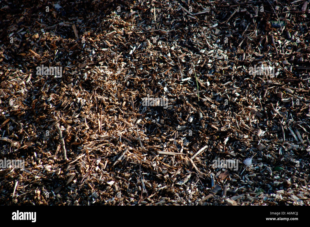 Bark & Wood Chippings Stock Photo - Alamy