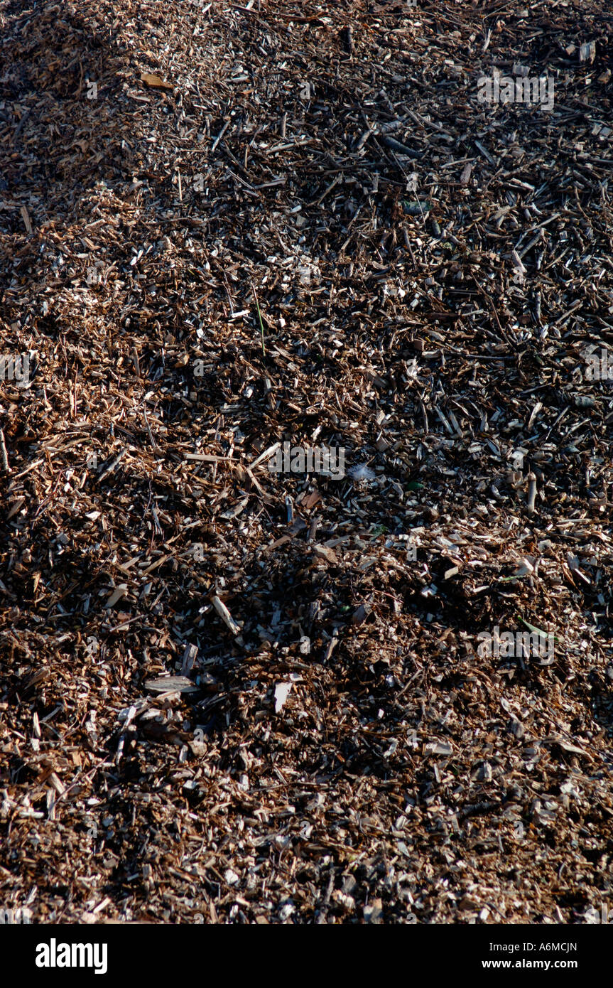 Bark & Wood Chippings Stock Photo - Alamy