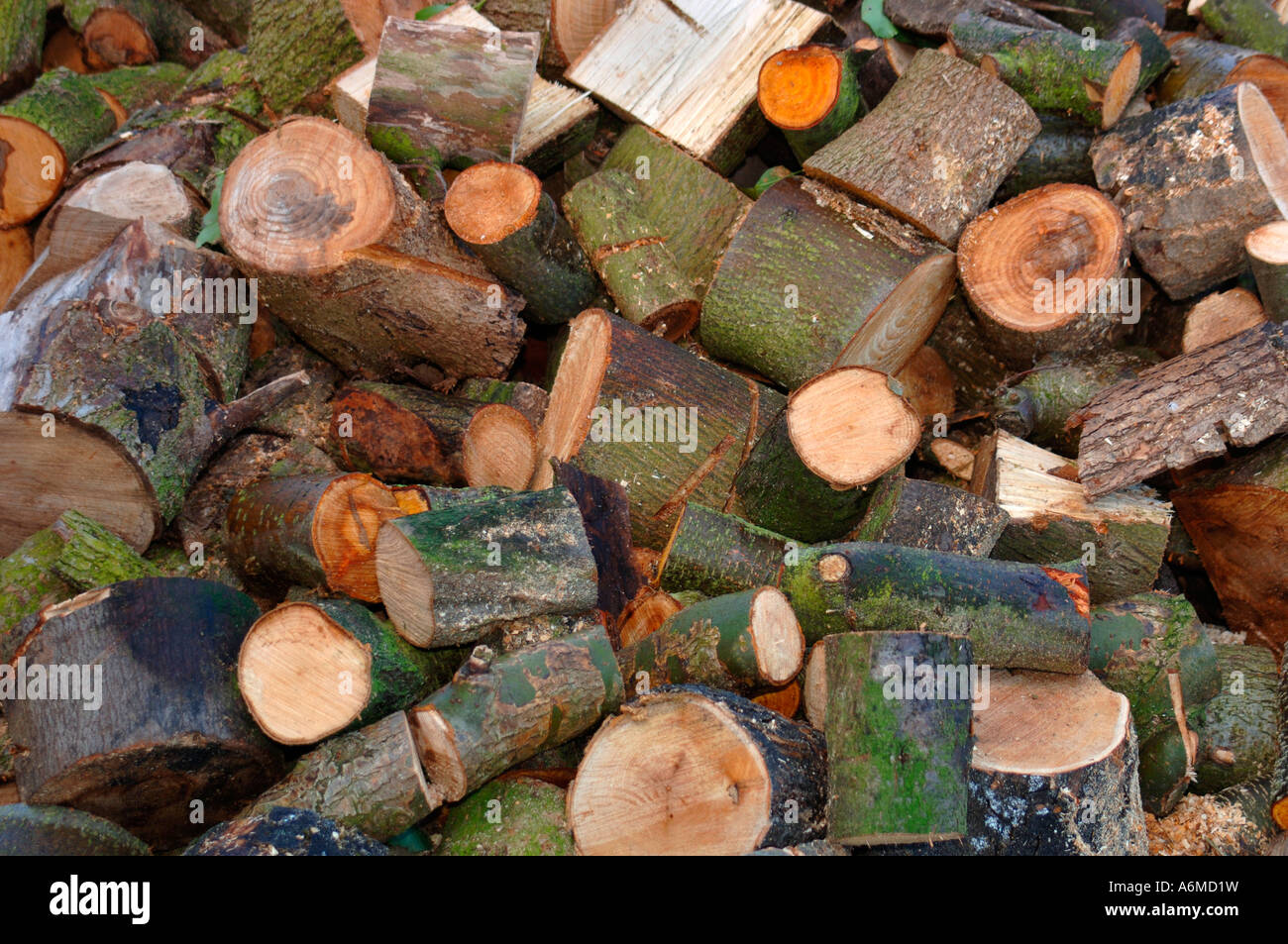 Cut Up Logs Stock Photo - Alamy