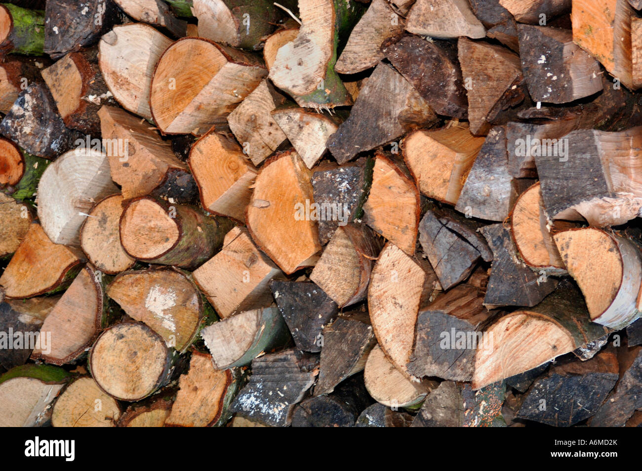 Cut Up Wooden Logs Stock Photo - Alamy