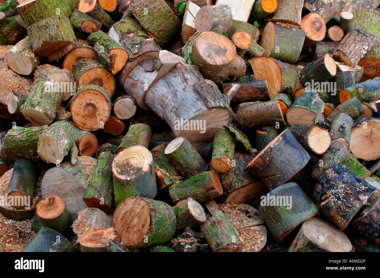 Cut Up Wooden Logs Stock Photo - Alamy