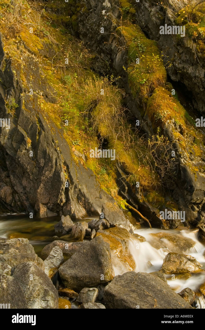 Moss covered rocks along river Stock Photo - Alamy