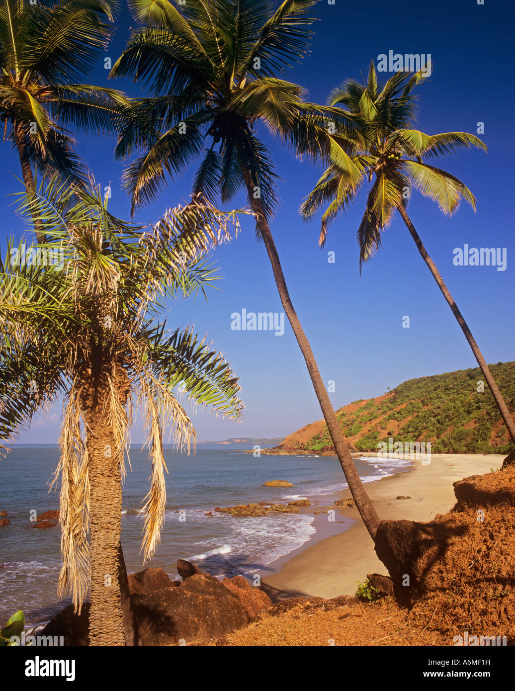 Arambol harmal beach hi-res stock photography and images - Alamy