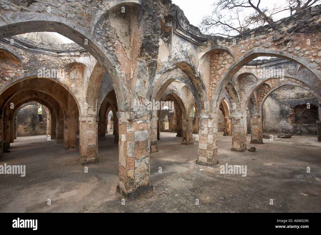 Mosque on Kilwa Kisiwani, Tanzania Stock Photo - Alamy