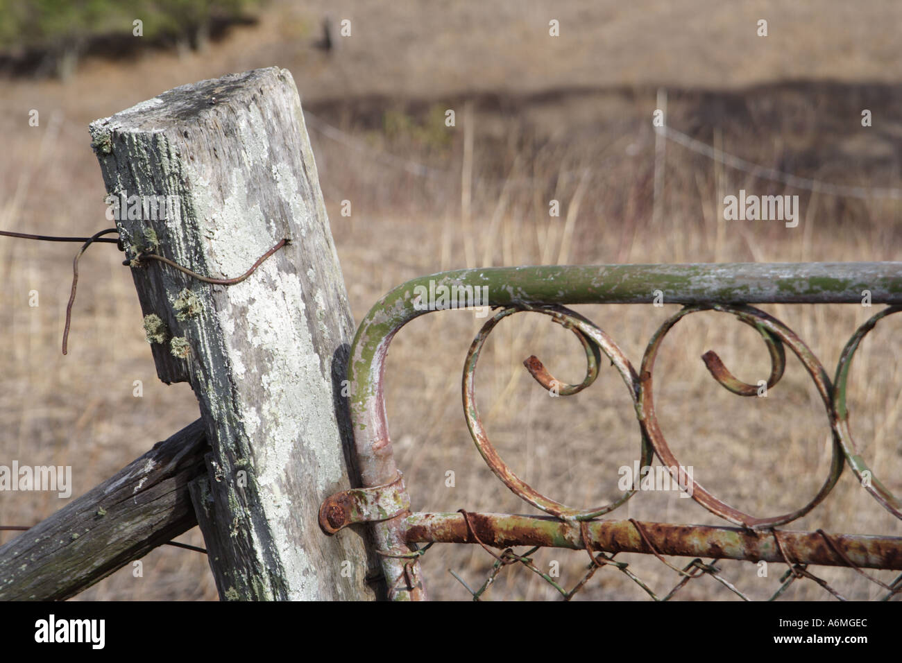 OLD FENCE AND GATE ON A FARM QUEENSLAND AUSTRALIA Stock Photo - Alamy