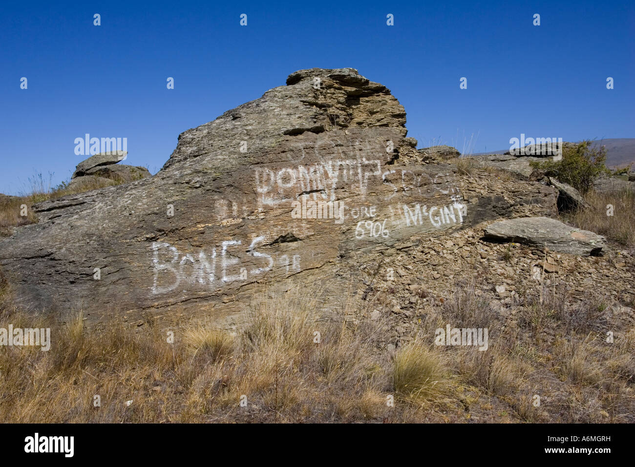 Dry land ecosystem and schist rock outcrops in Flat Top Conservation ...
