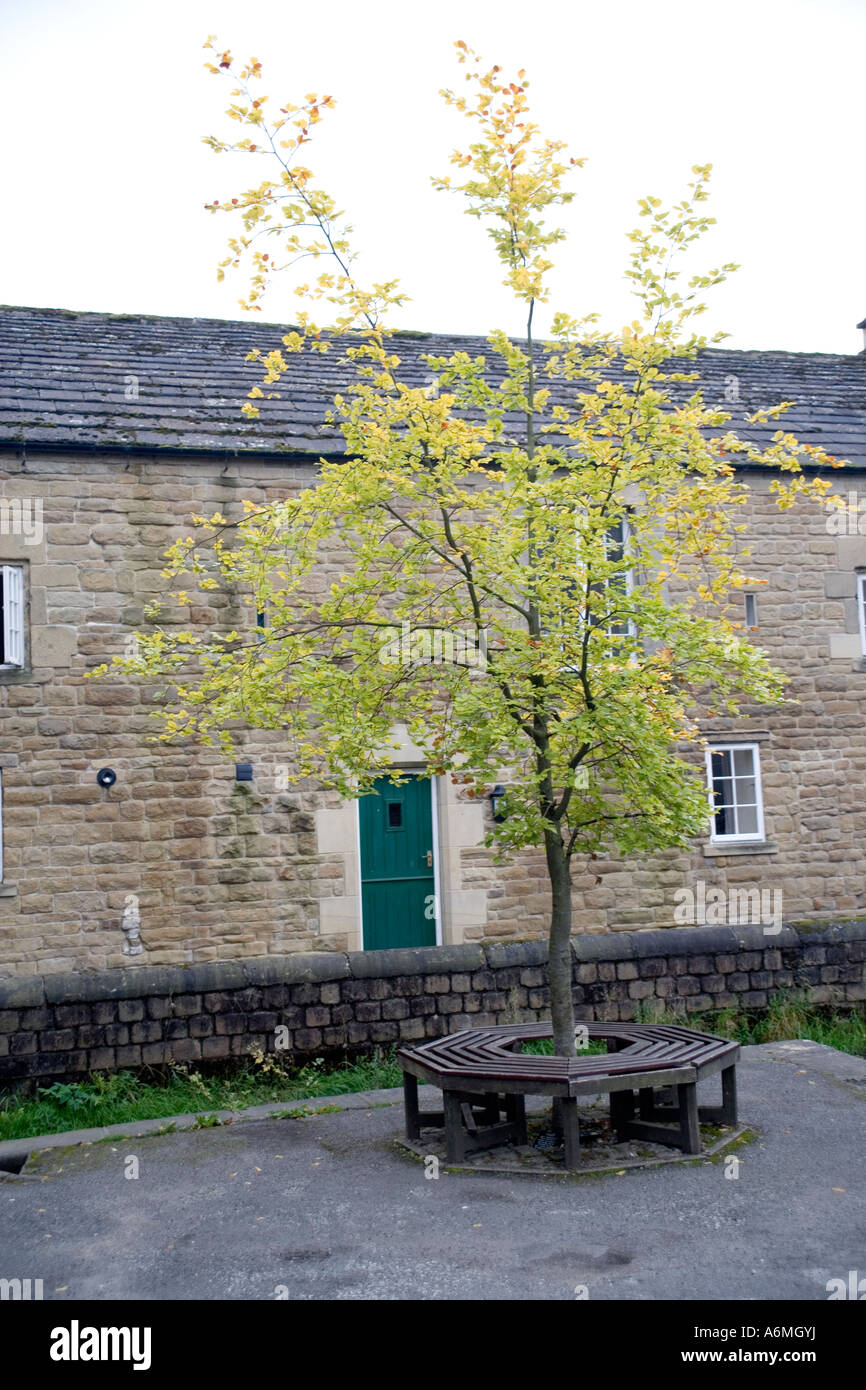 Stoney Middleton village, Derbyshire, England Stock Photo - Alamy