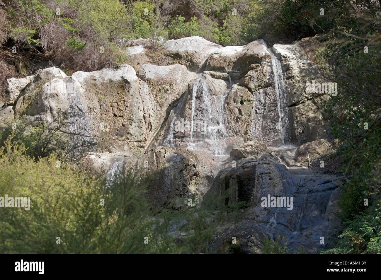 Hot sulphurous Kakahi water falls Hells Gate Maori owned geothermal ...