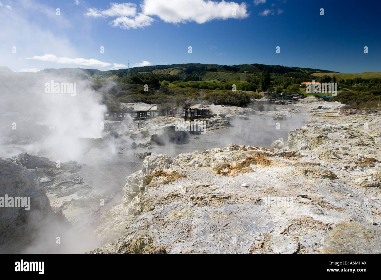 Hells Gate Maori owned geothermal reserve Tikitere Rotorua North Island ...