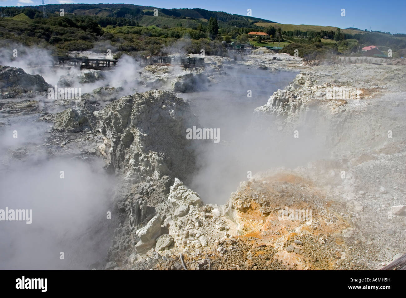 Hells Gate Maori owned geothermal reserve Tikitere Rotorua North Island ...