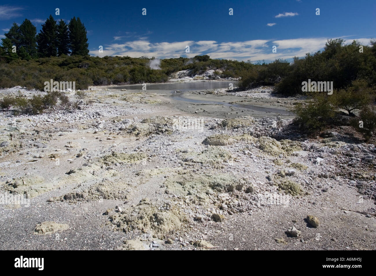 Sulphur crystal valley Hells Gate Maori owned geothermal reserve ...