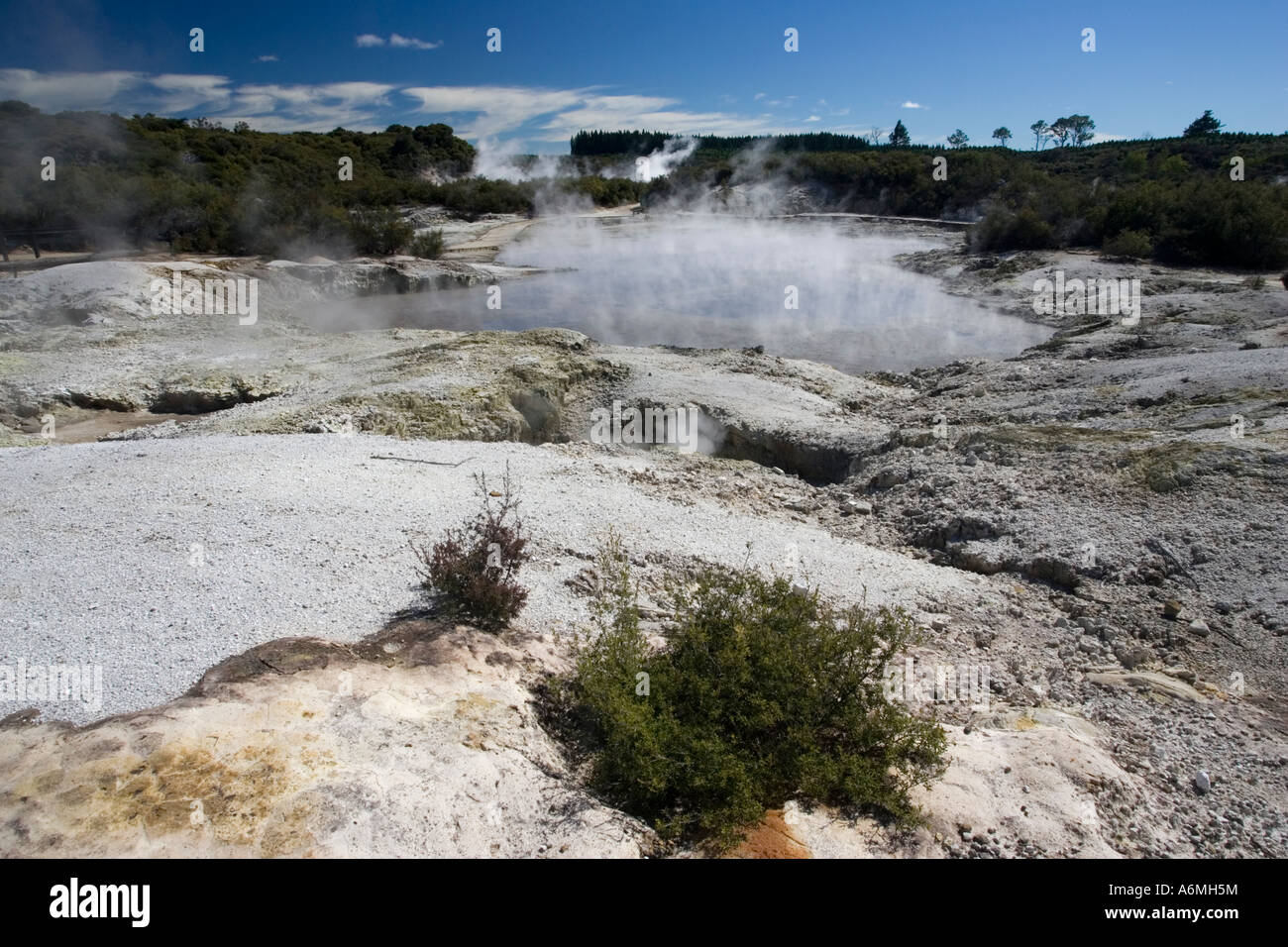 Hells Gate Maori owned geothermal reserve Tikitere Rotorua North Island ...