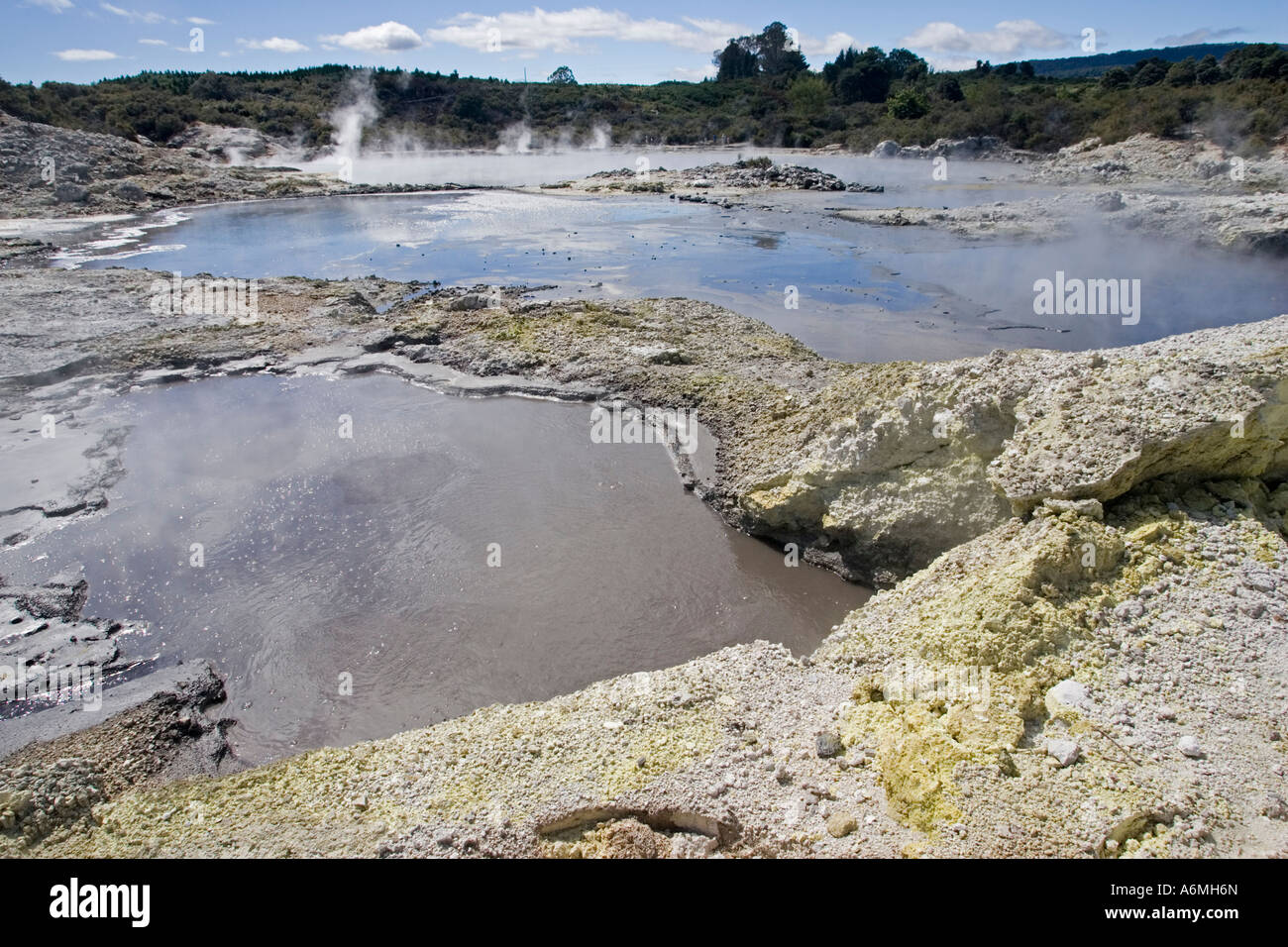 Boiling mud pools and sulphur lake Hells Gate Maori owned geothermal ...