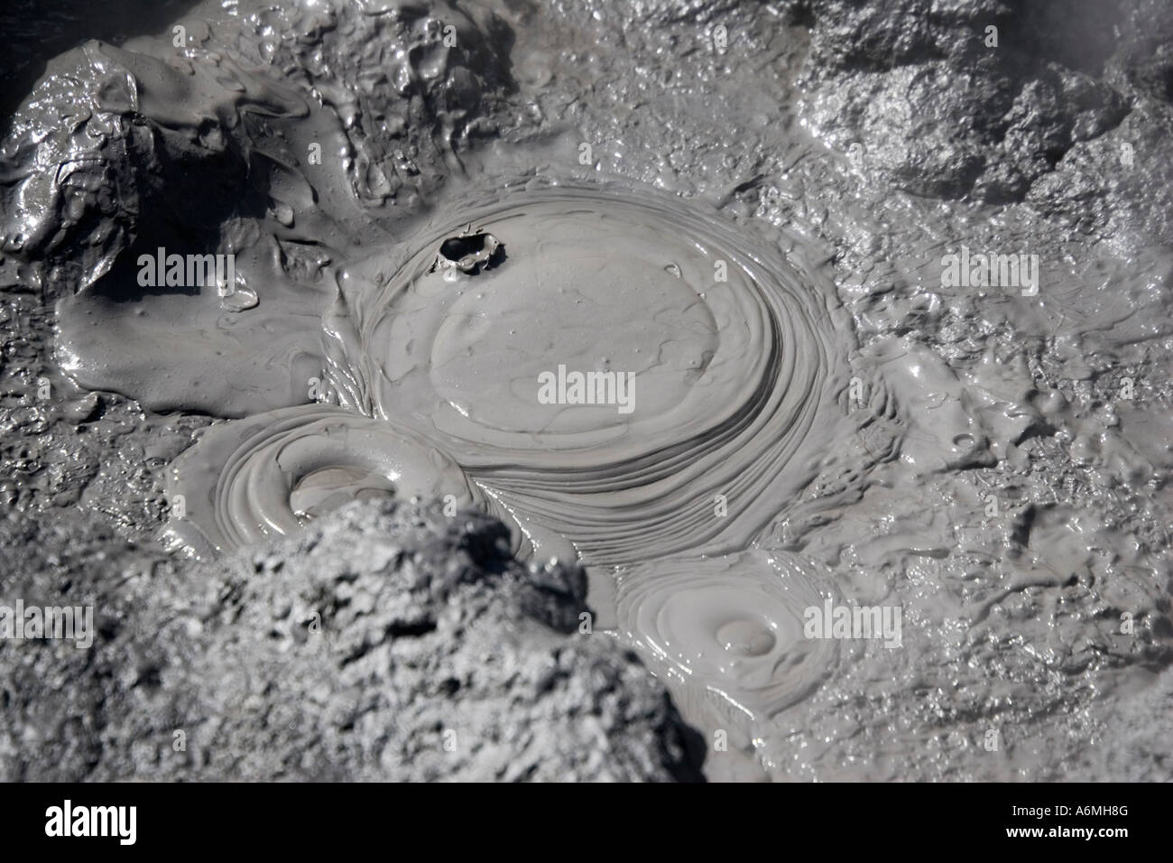 Boiling mud pools Hells Gate Maori owned geothermal reserve Tikitere ...