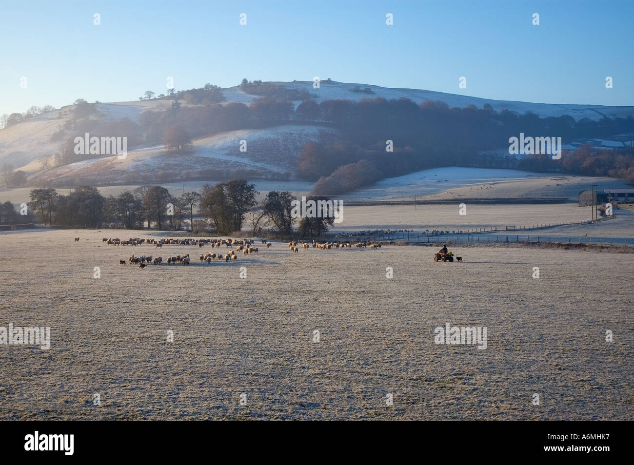 Sheepdog uk winter hi-res stock photography and images - Alamy
