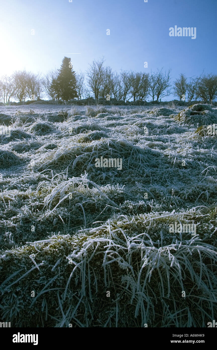 A winter scene in Powys, Wales, UK Stock Photo - Alamy