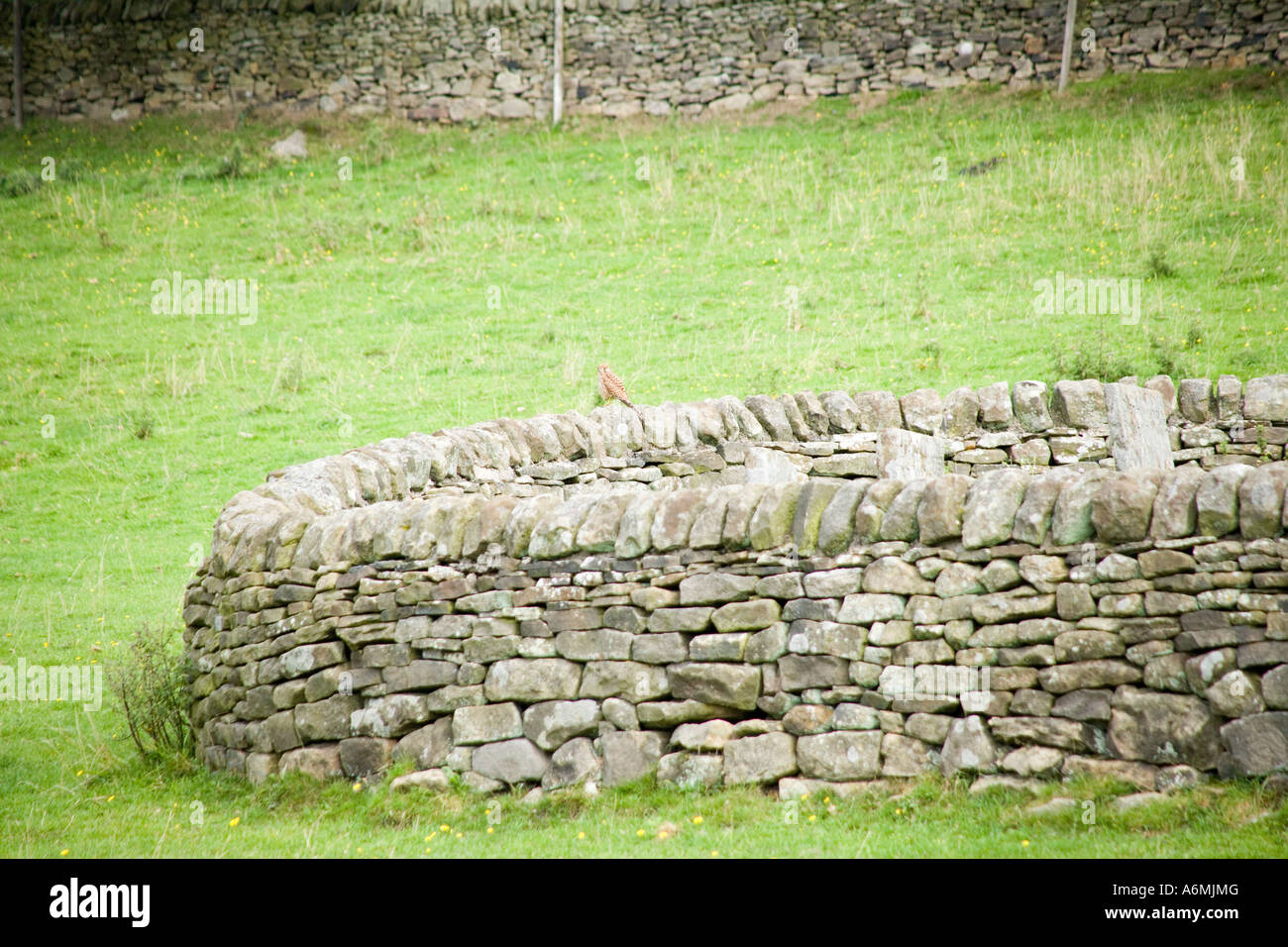 Riley Graves, Eyam, derbyshire, England Stock Photo - Alamy