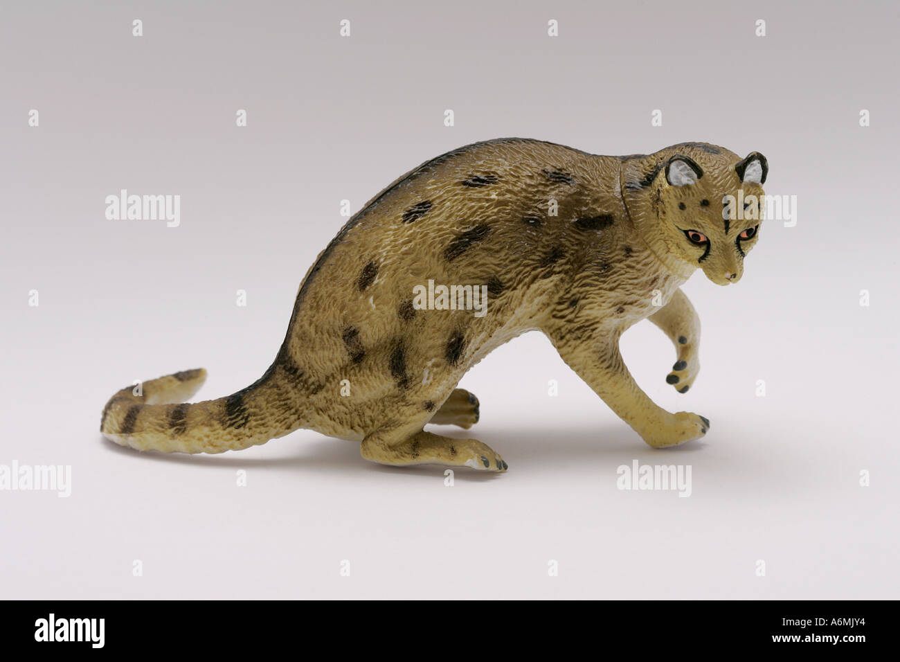 vivericula indica plastic toy wild nocturnal animal colourful long ...