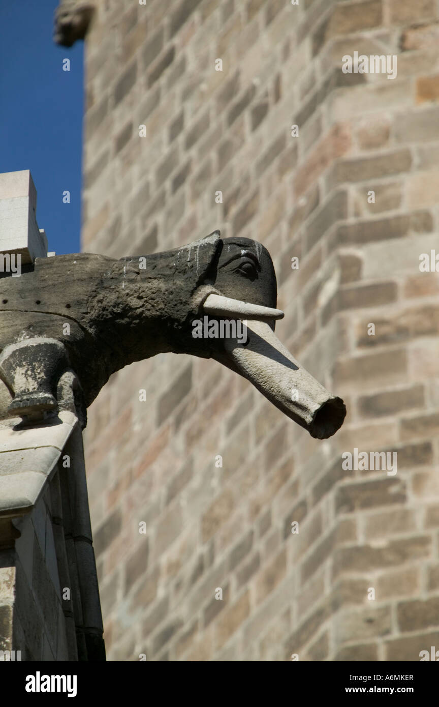 Sculpture of elephant like animal on roof of Barcelona Cathedral El ...