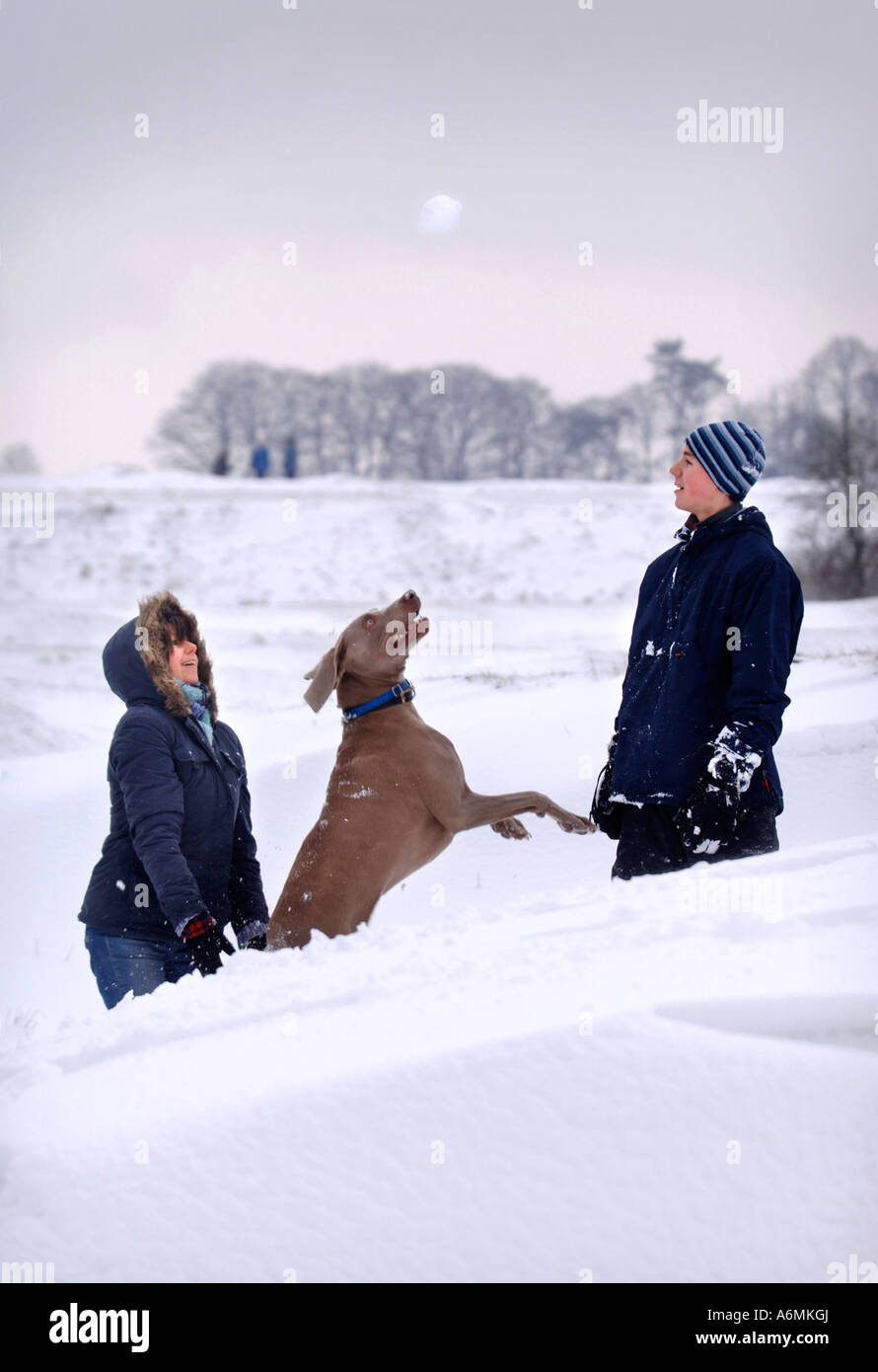 CHILDREN PLAYING WITH A PET DOG IN THE SNOW ON MINCHINHAMPTON COMMON ...