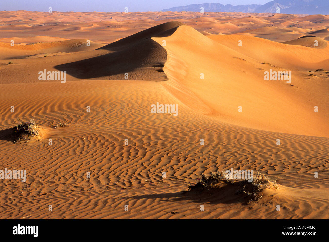 Sand dunes at Al Hayer near Dubai United Arab Emirates Stock Photo - Alamy