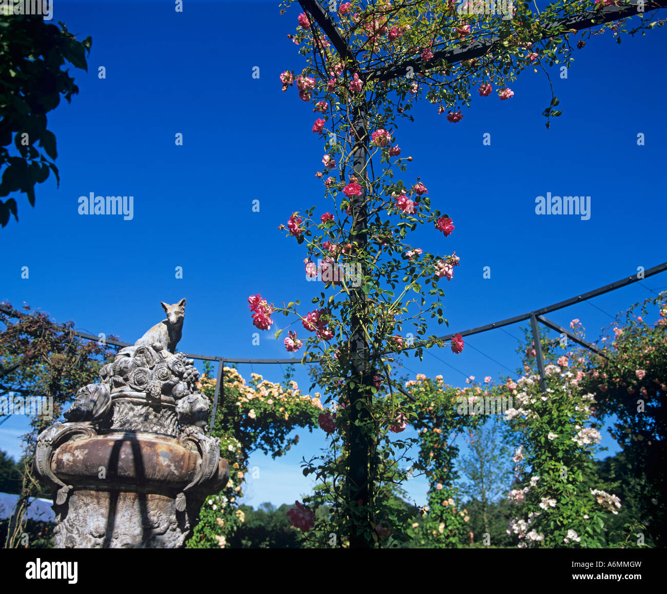 Alnwick Gardens in Northumberland England Stock Photo - Alamy