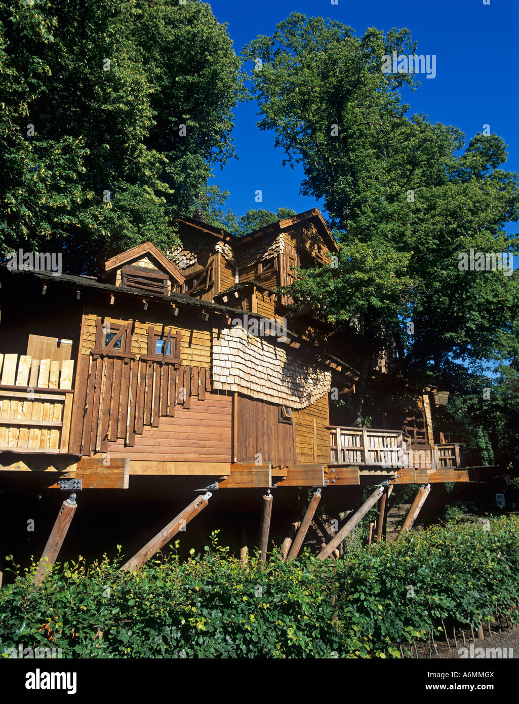 tree house at Alnwick Gardens in Northumberland Stock Photo - Alamy