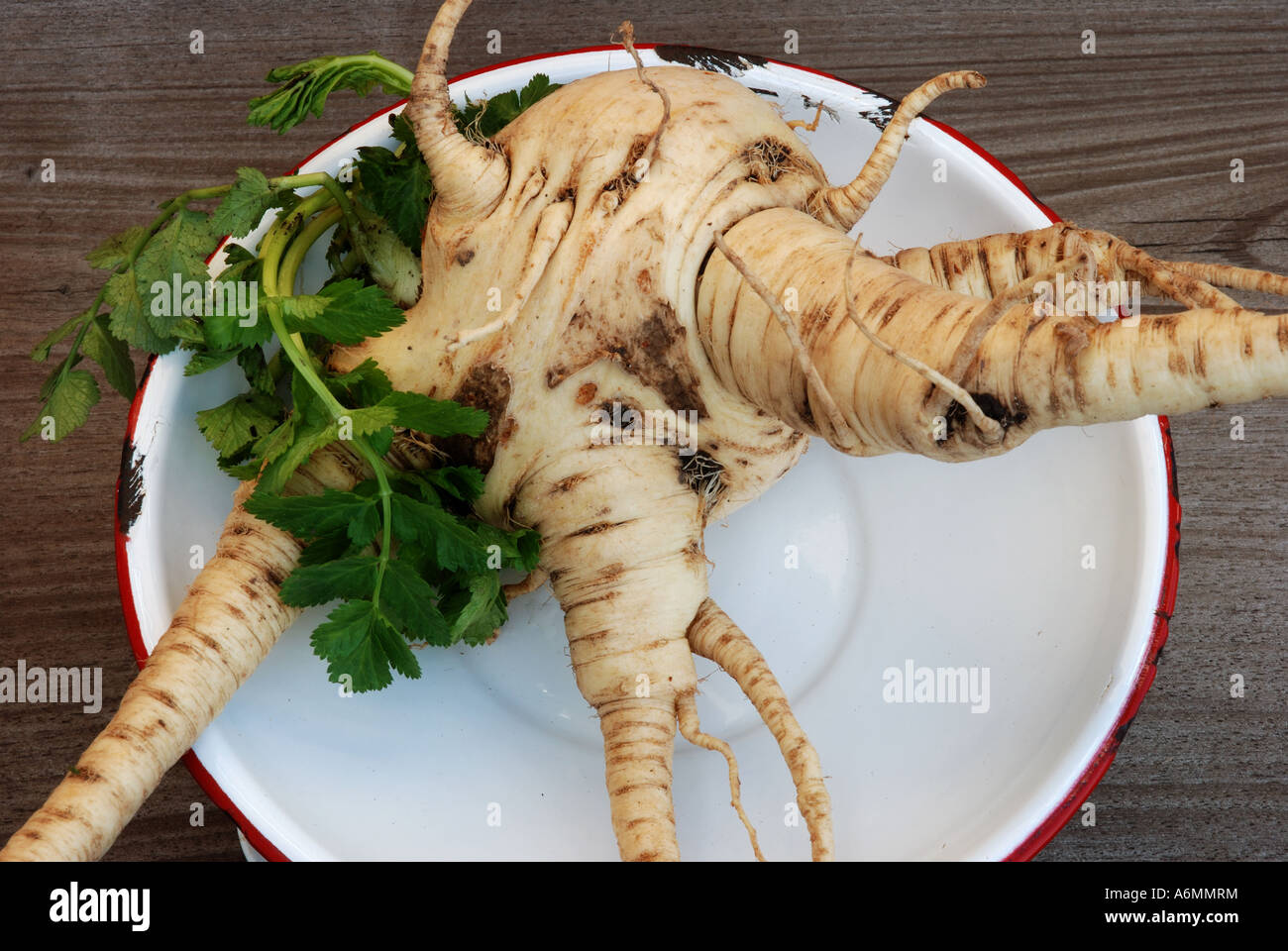 Odd shaped vegetables hi-res stock photography and images - Alamy