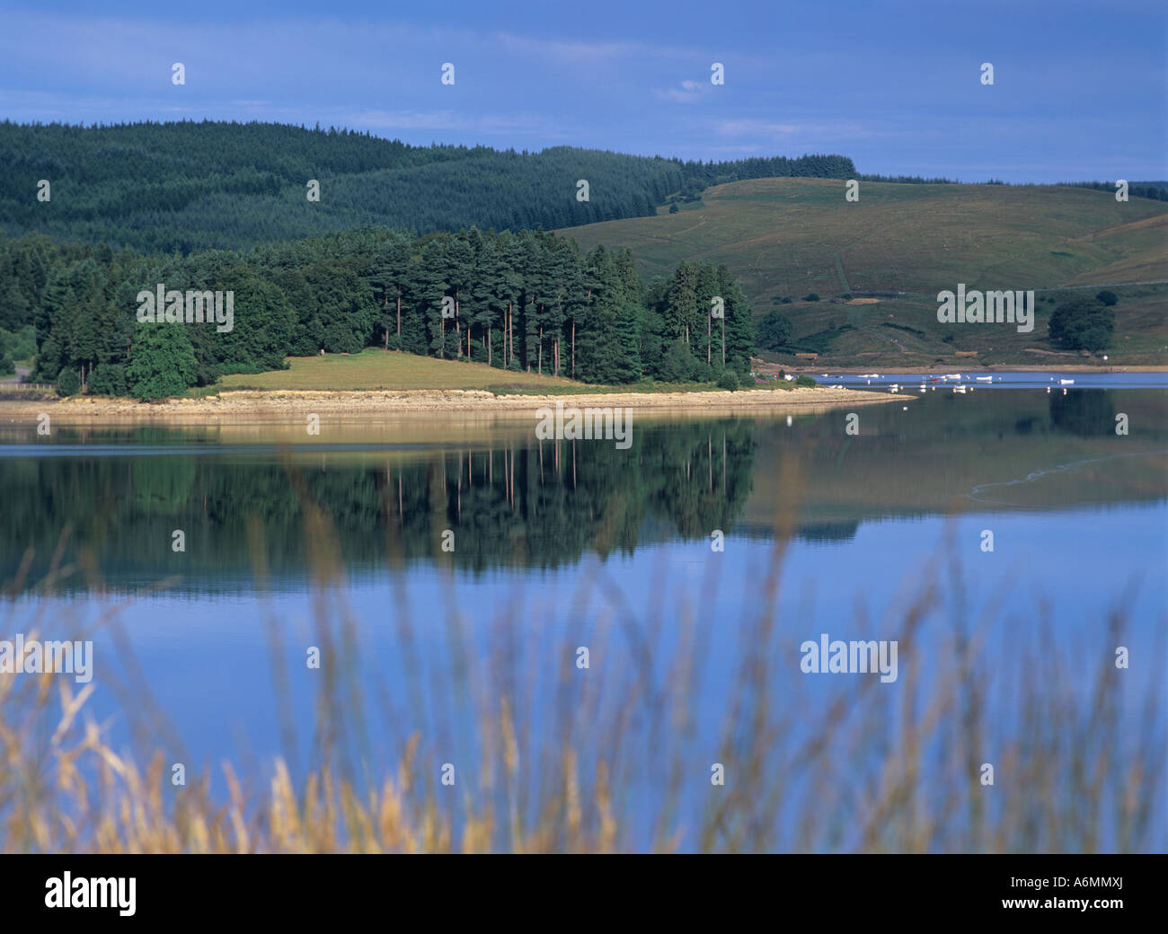 Kielder Water and Forest in Northumberland National Park England UK ...