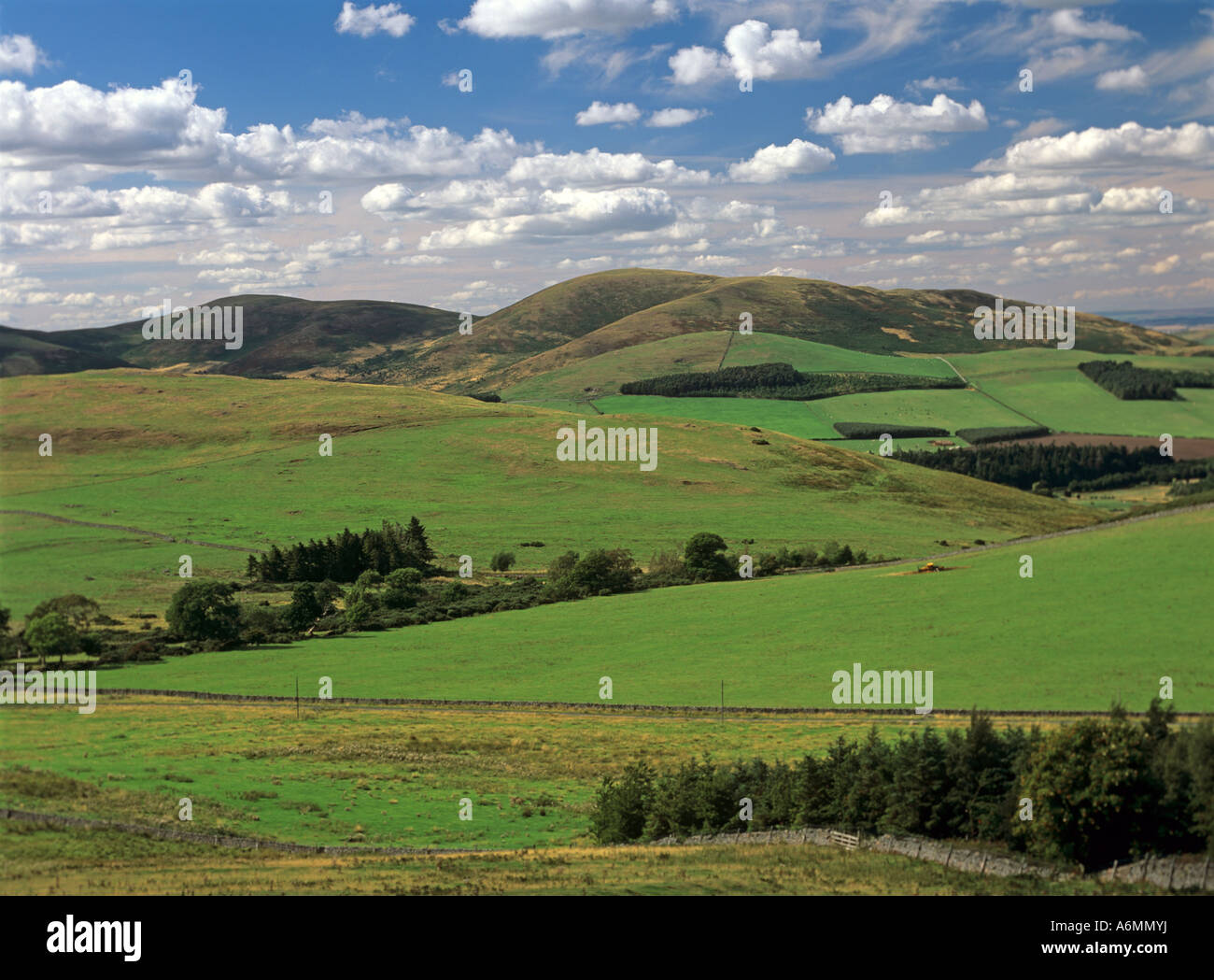 Cheviot hill hi-res stock photography and images - Alamy