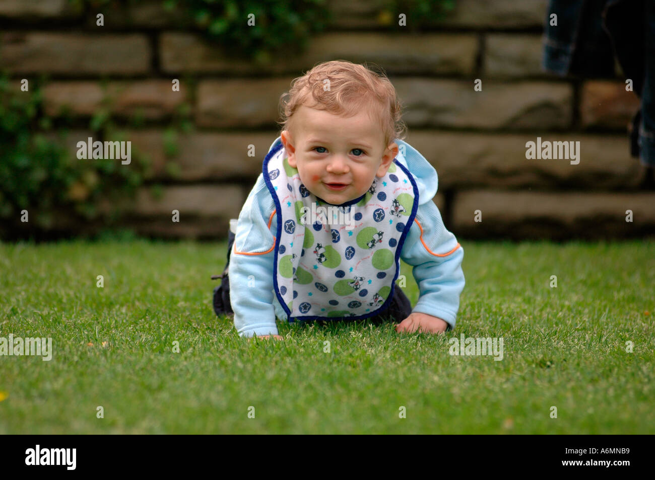 Baby crawling towards camera hi-res stock photography and images - Alamy