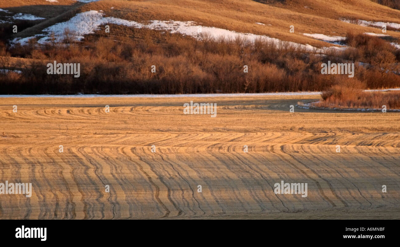 Melting snow in Scenic Saskatchewan Canada Stock Photo - Alamy