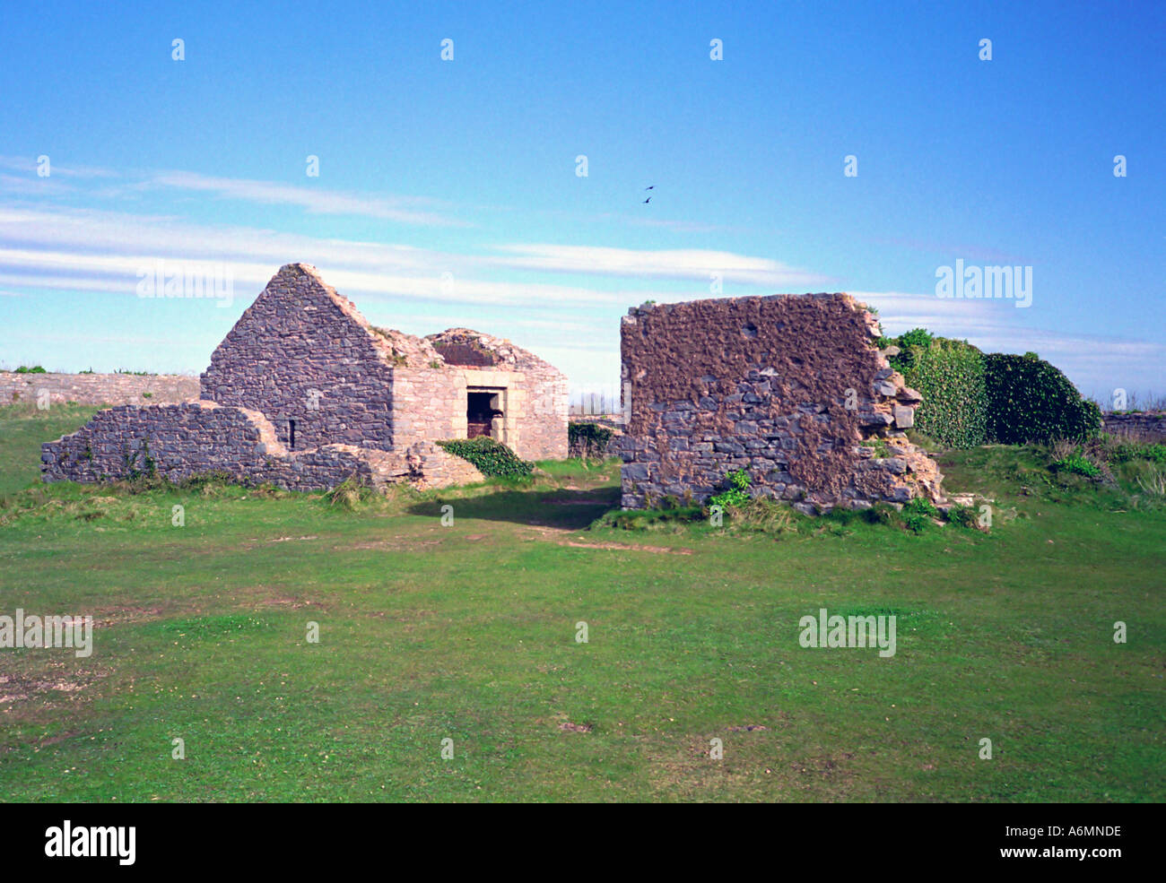 Berry head cannon hi-res stock photography and images - Alamy