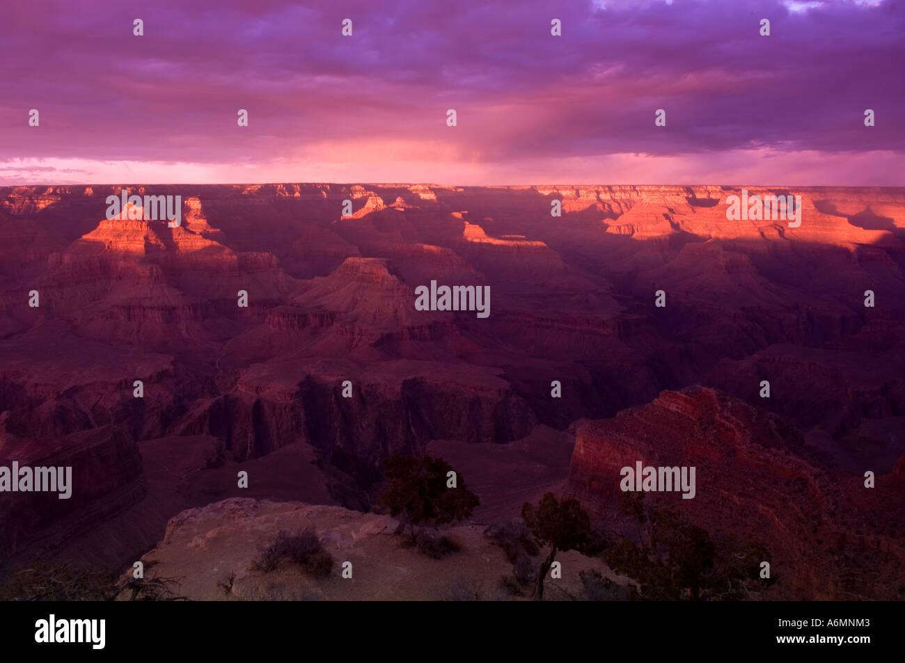 grand canyon at sunset Stock Photo - Alamy