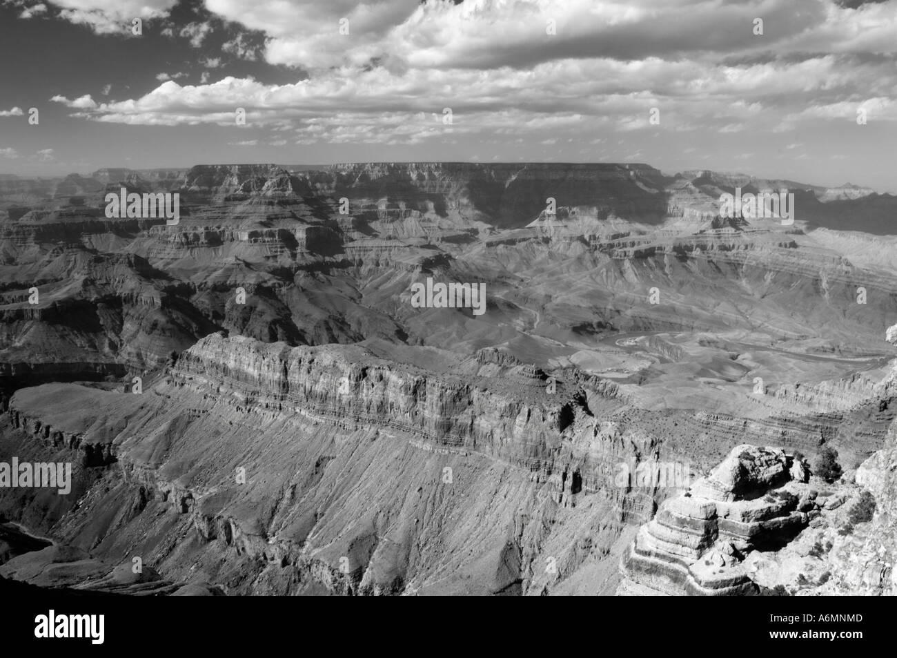 Control courage Black and White Stock Photos & Images - Alamy