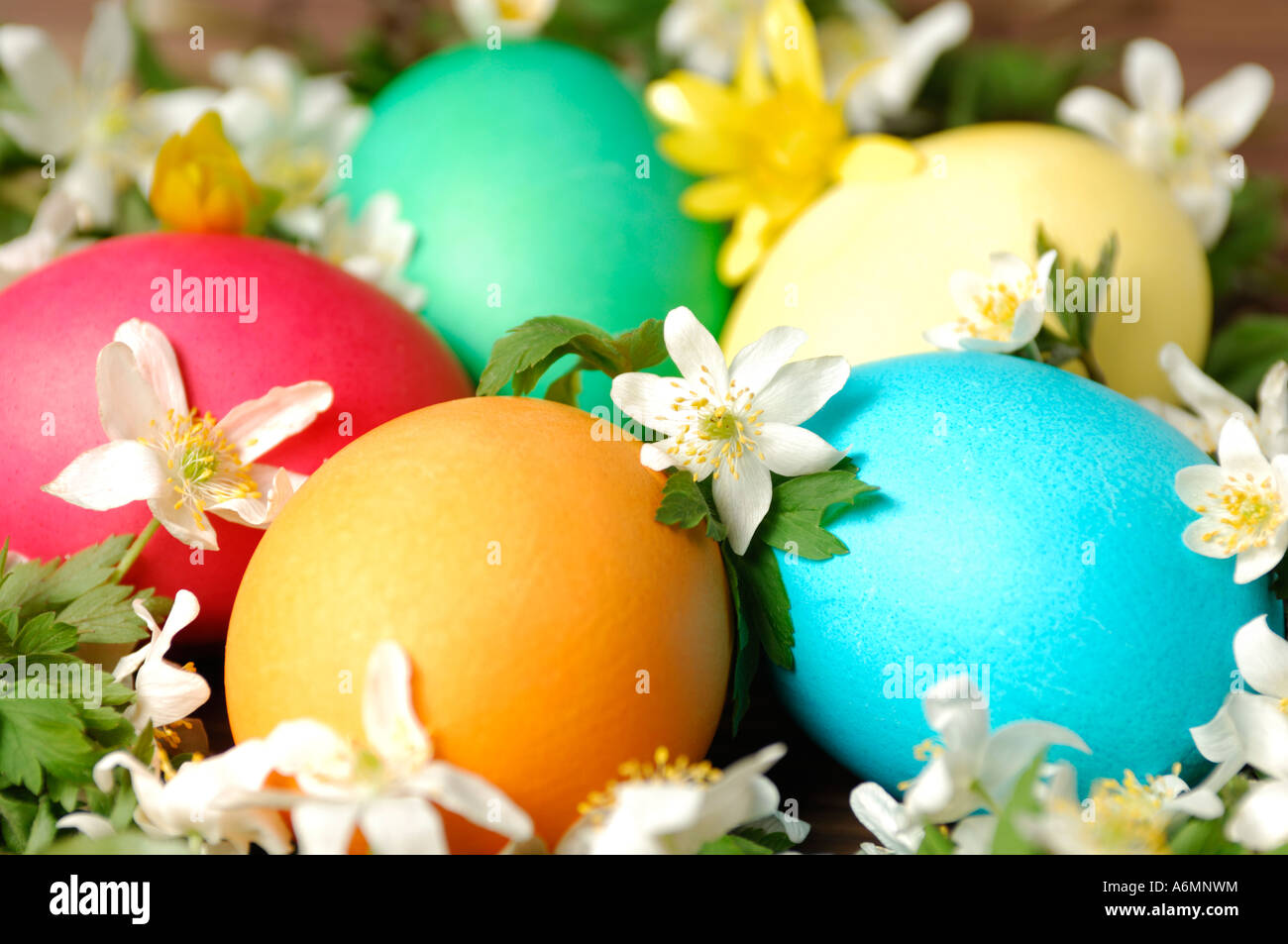 Colorful Easter eggs surrounded by spring flowers Stock Photo - Alamy