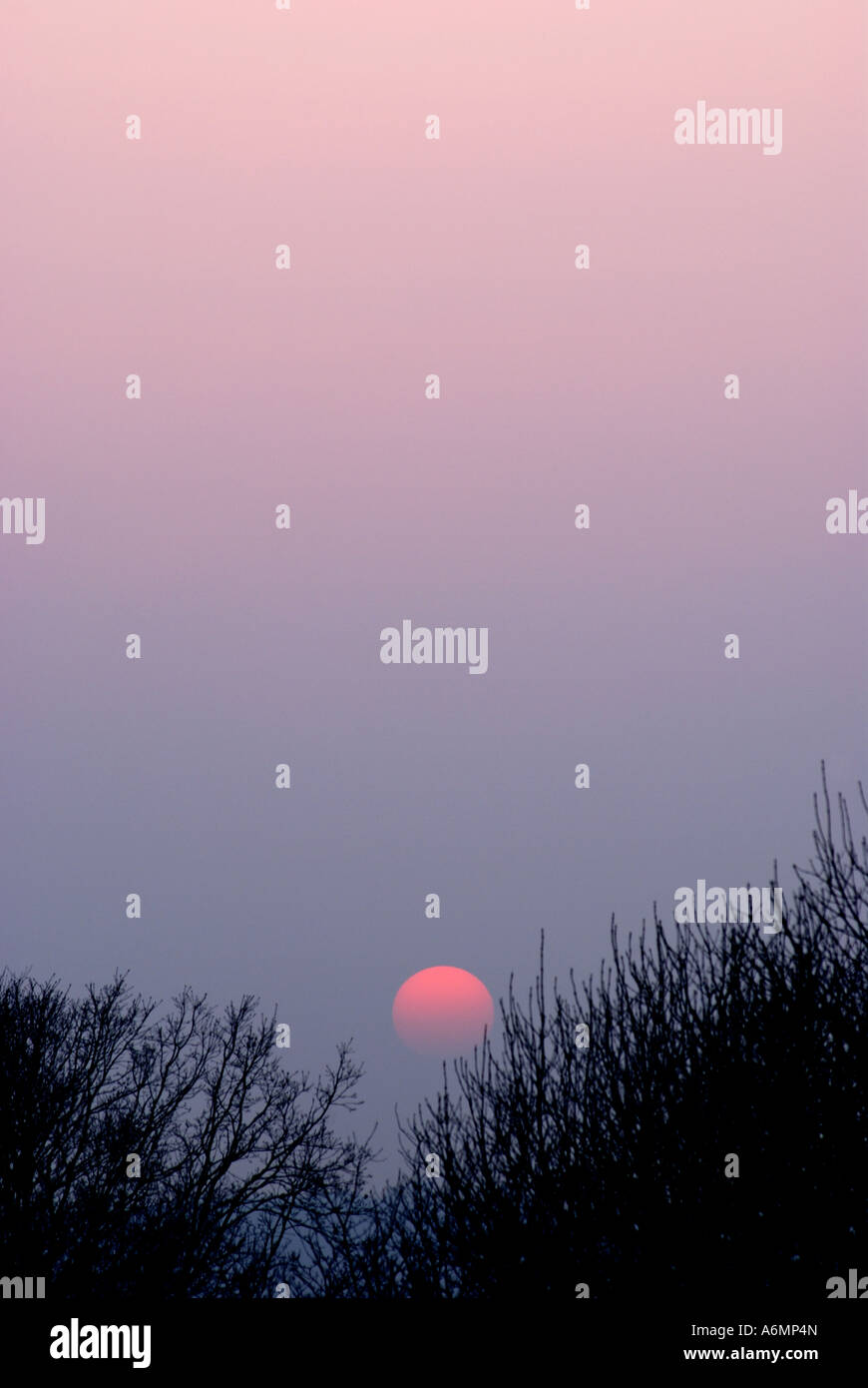 Sun setting over trees, UK Stock Photo - Alamy